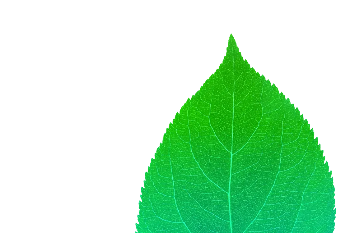 Frequently Asked Questions on Caller ID… | Kelley Drye & Warren LLP